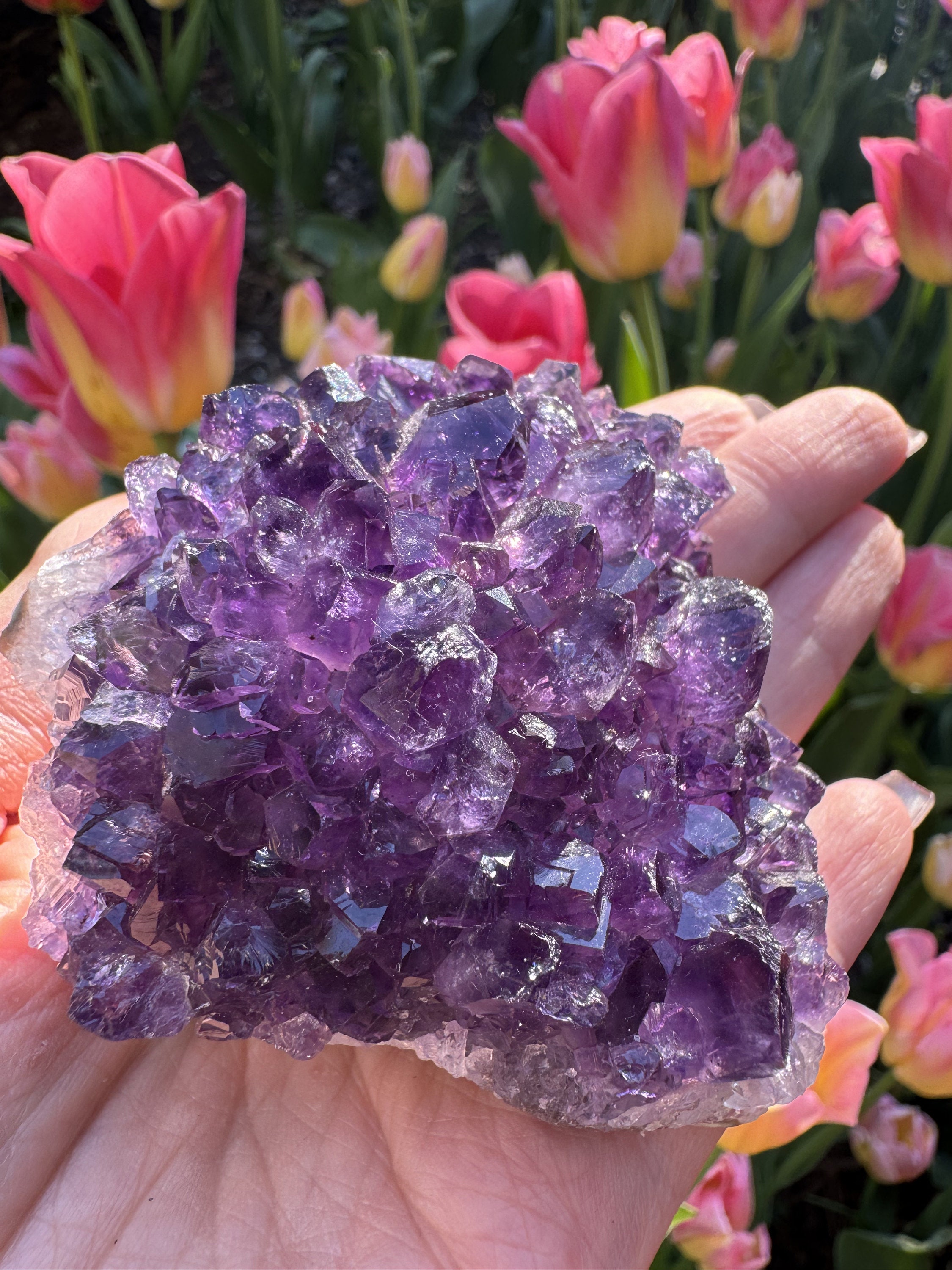 INTENSE Purple Amethyst Cluster W/cyan Rock Bed/purple Flame Karma ...