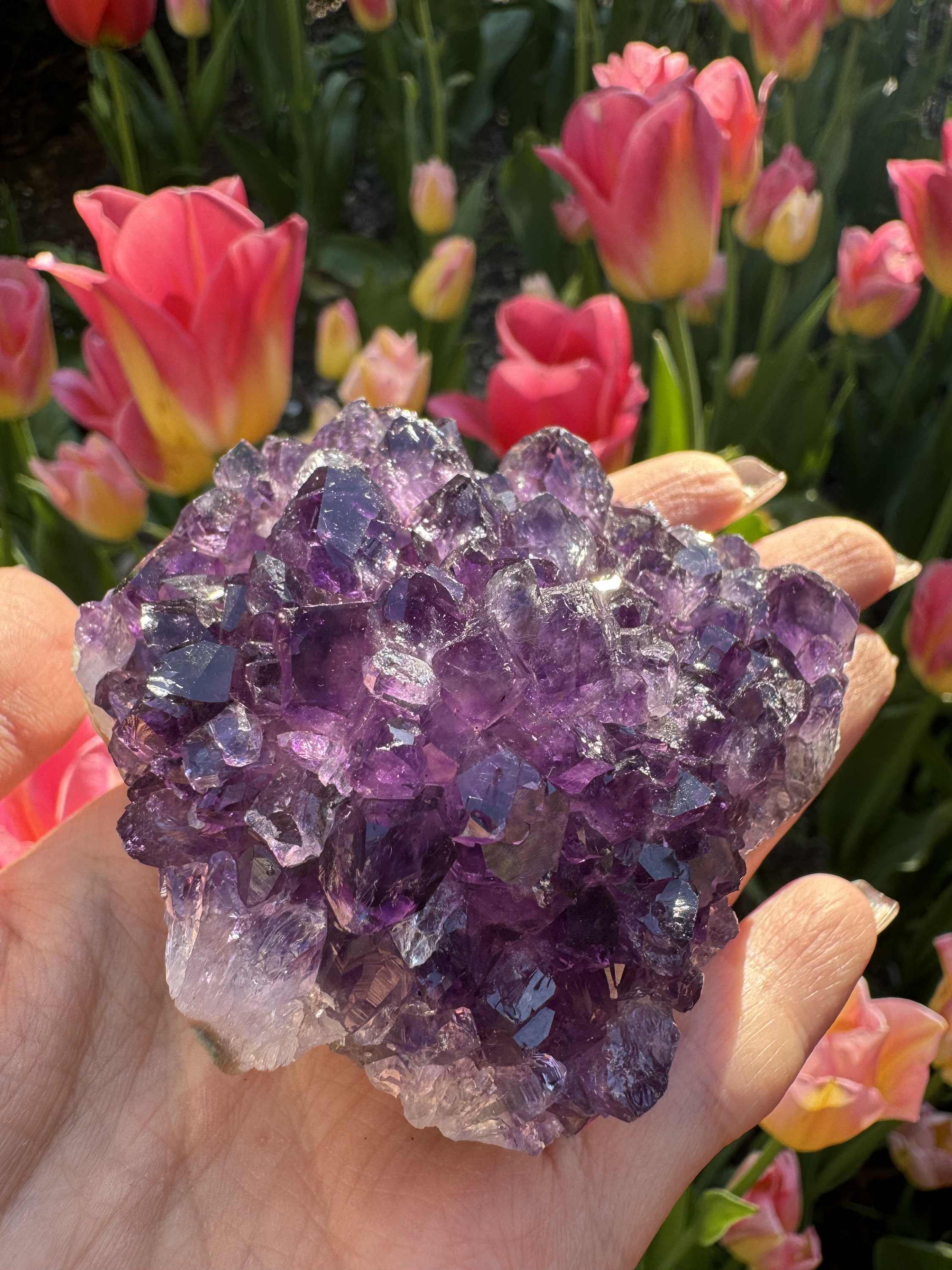 INTENSE Purple Amethyst Cluster W/cyan Rock Bed/purple Flame Karma ...