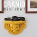 Skull Mini Shelf Made to Order in Several Colors - Etsy