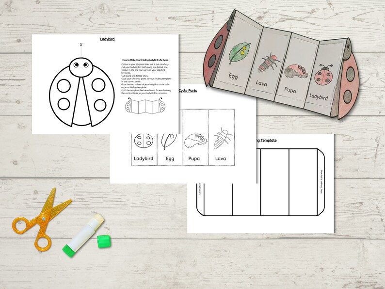 Life Cycle Printable, Foldable Life Cycle Printable, Bee Life Cycle ...