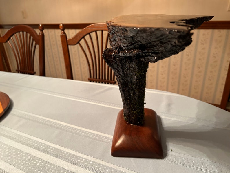 Plant Stand, Table Decorations - Etsy