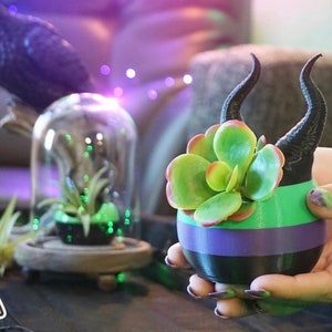 Maleficent Evil Fairy Godmother Inspired Planter Pot Succulent 3D ...