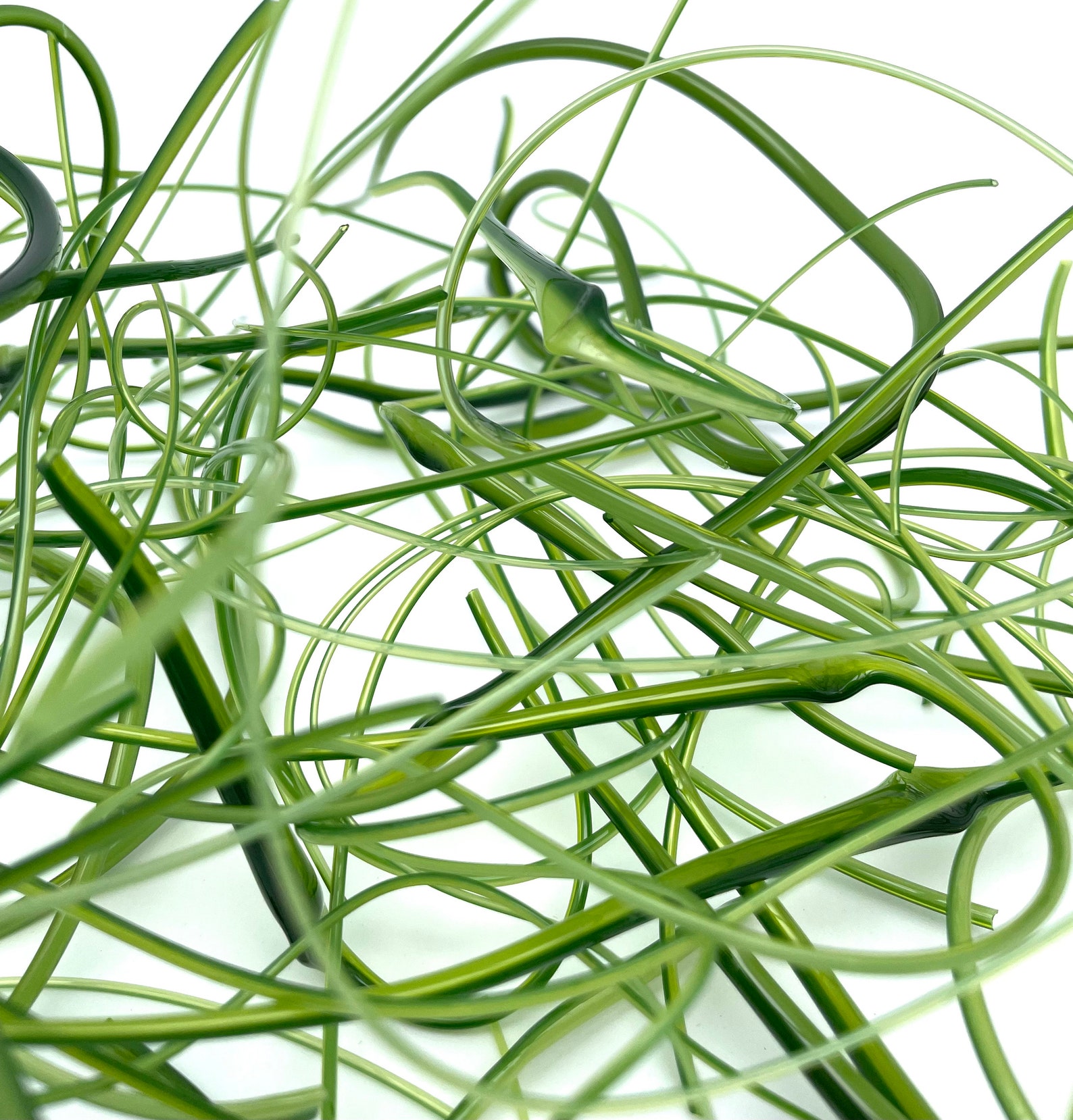 COE 96 Green Variegated Vitrigraph Stringer for Floral & - Etsy