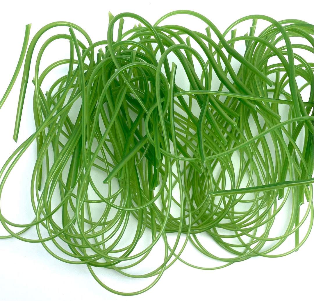 COE 96 Green Variegated Vitrigraph Stringer for Floral & Landscape ...