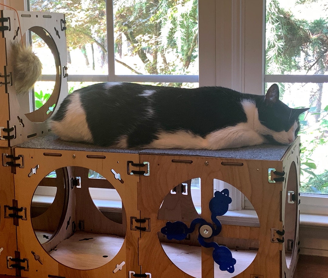 Big Kitty Play Gym Set encourages Active Lives for Inside Pets. Modular ...