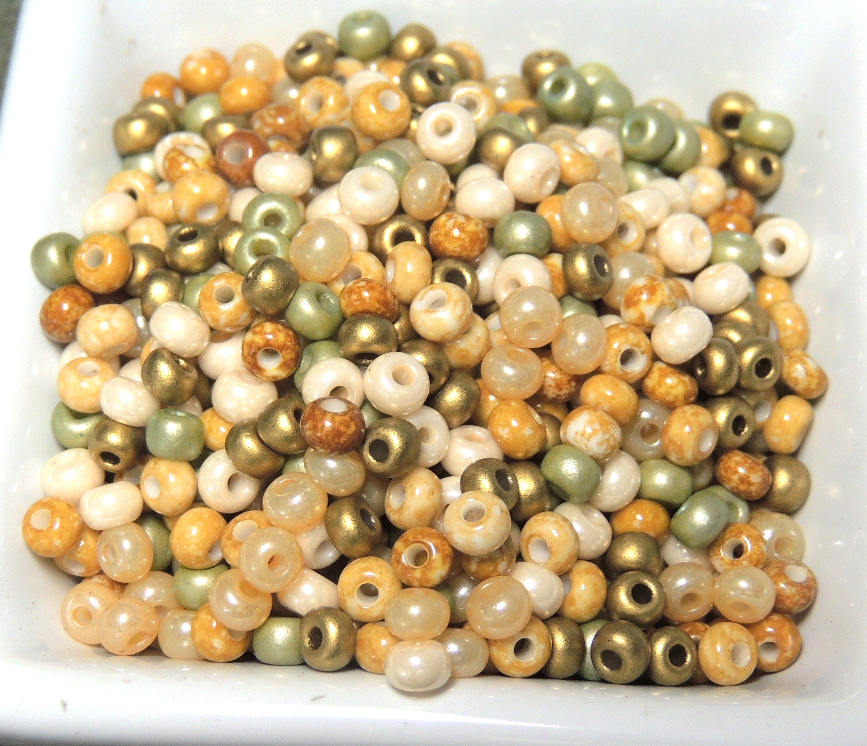 Windy Wheat Field Seed Bead Mix, Tans, Golds, Green, Size 6 - Etsy