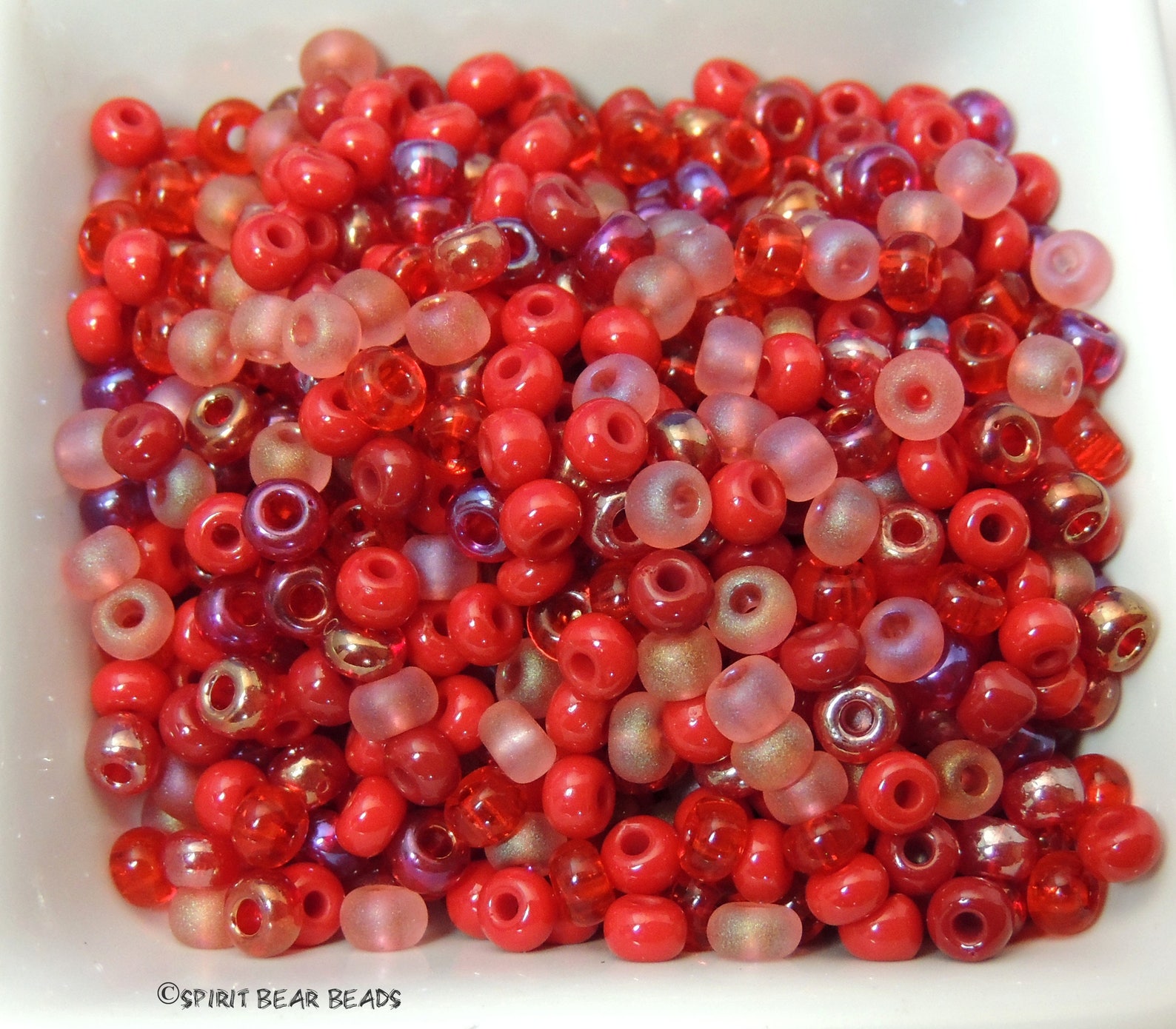 Red Red Wine Mix Size 6 Seed Beads 50 Grams Reds and Pinks - Etsy