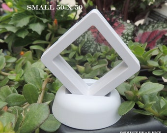 Fossils Display Box | Etsy