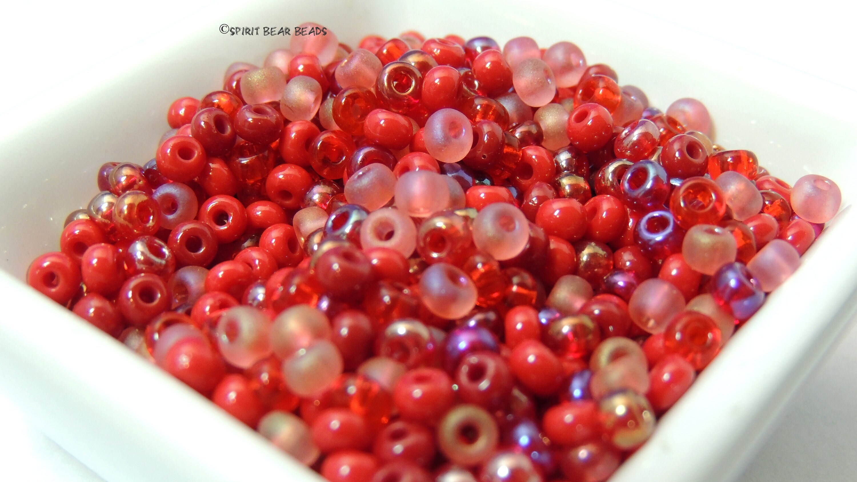 Red Red Wine Mix Size 6 Seed Beads 50 grams reds and pinks | Etsy