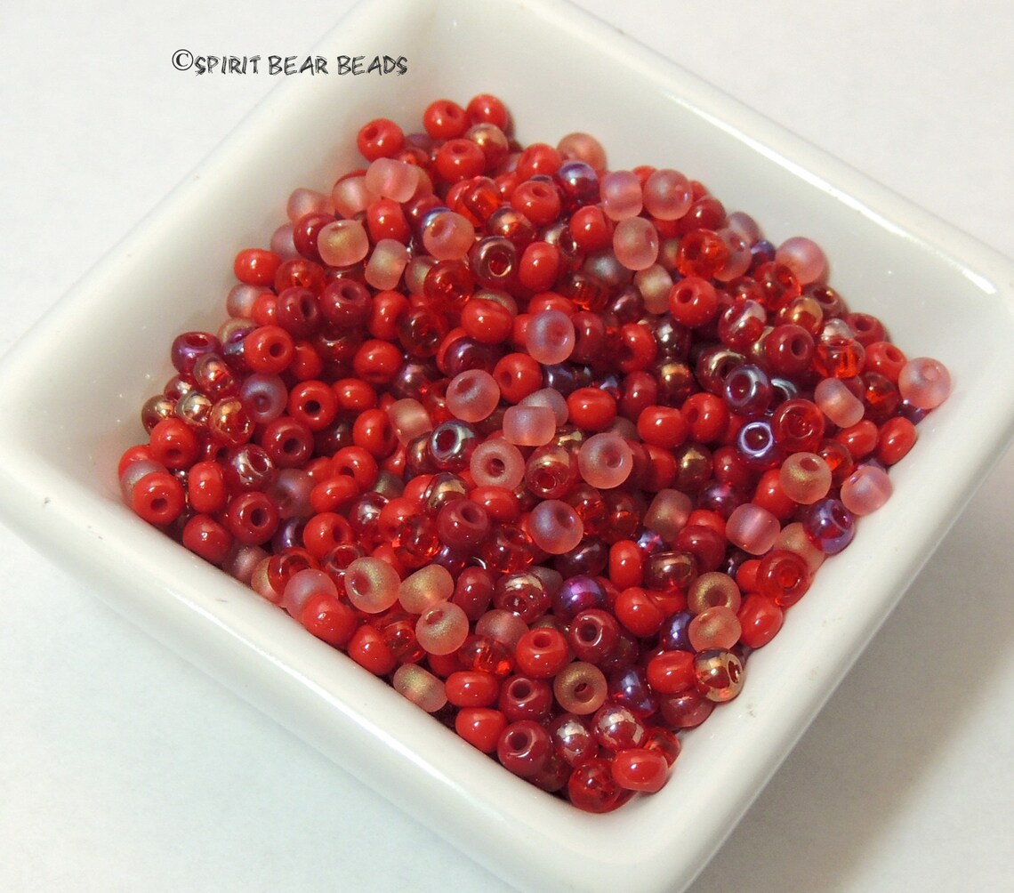 Red Red Wine Mix Size 6 Seed Beads 50 Grams Reds and Pinks - Etsy