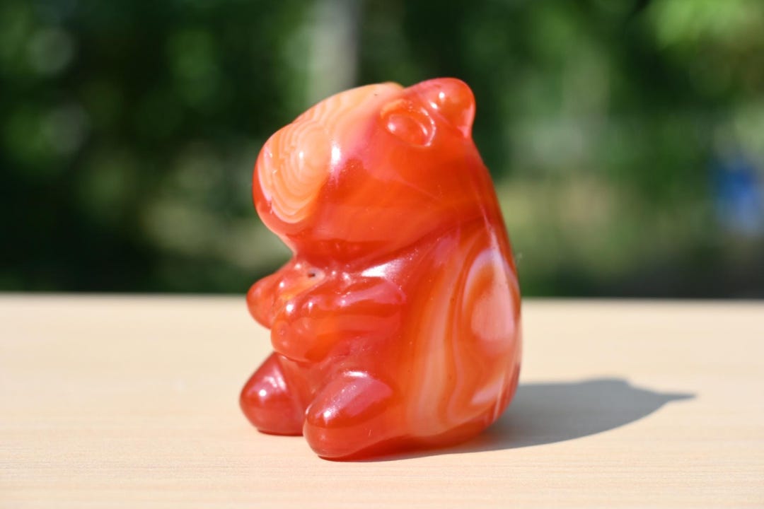 2 Inches Natural Red Agate Capybara,hand Carved,reiki Healing,crystal ...