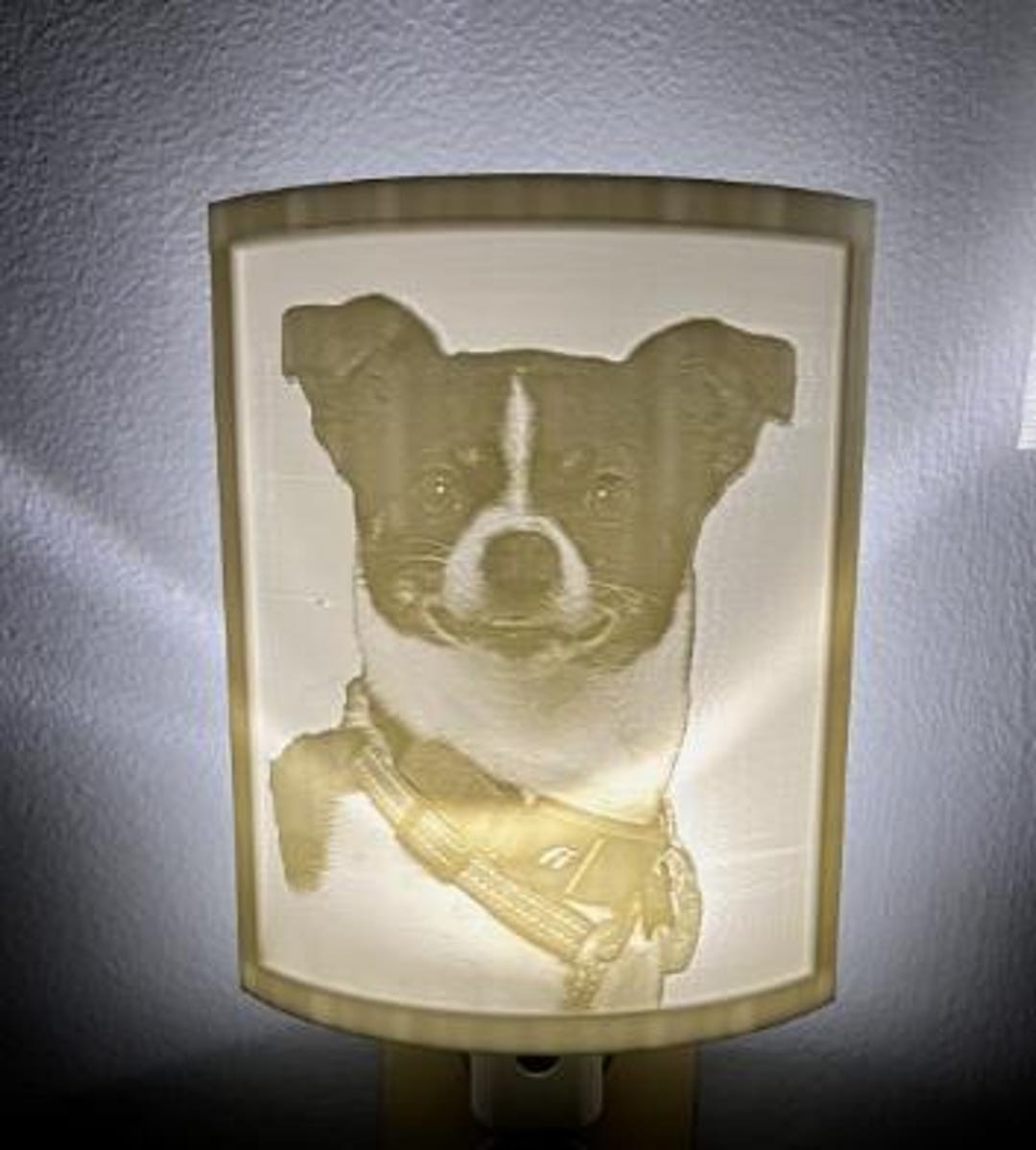 Custom Night Lights Using Your Photo - Memories Deserve to Shine! - Etsy