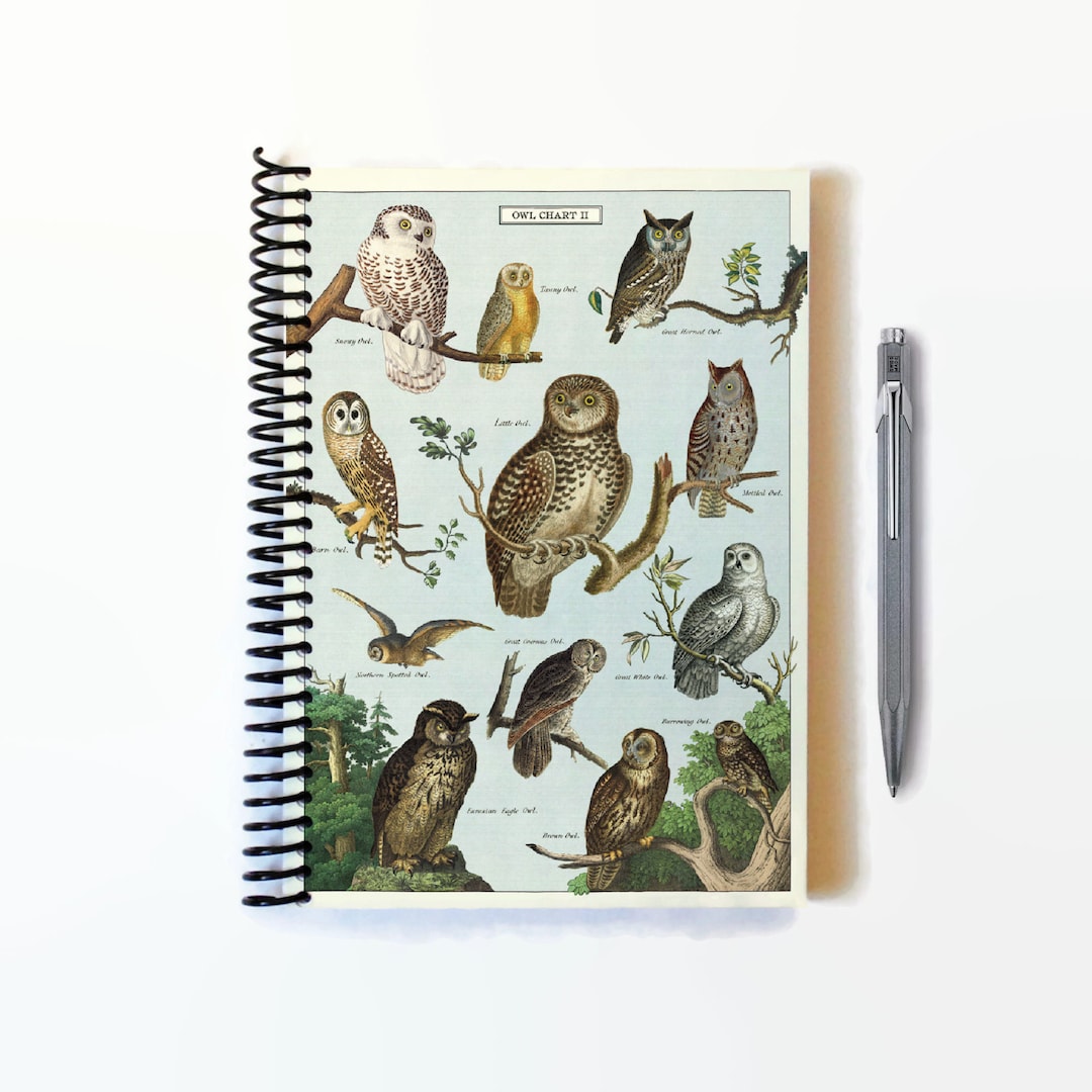 Owl Chart A5 Notebook or Notepad Spiral Bound Pocket - Etsy
