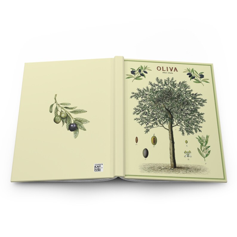The Olive Tree A5 Journal, Elegant Matte Hardcover, Lined Pages for ...