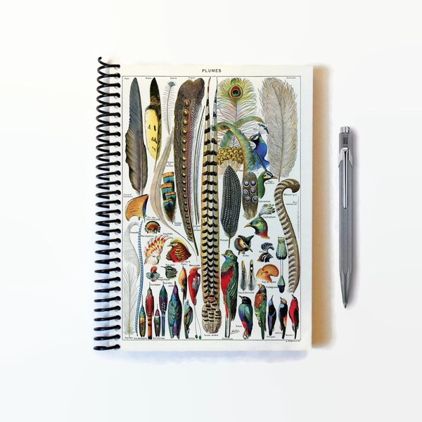 Colorful Feathers - Etsy