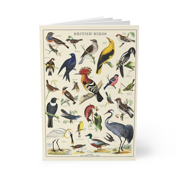 Bird Journal - Etsy