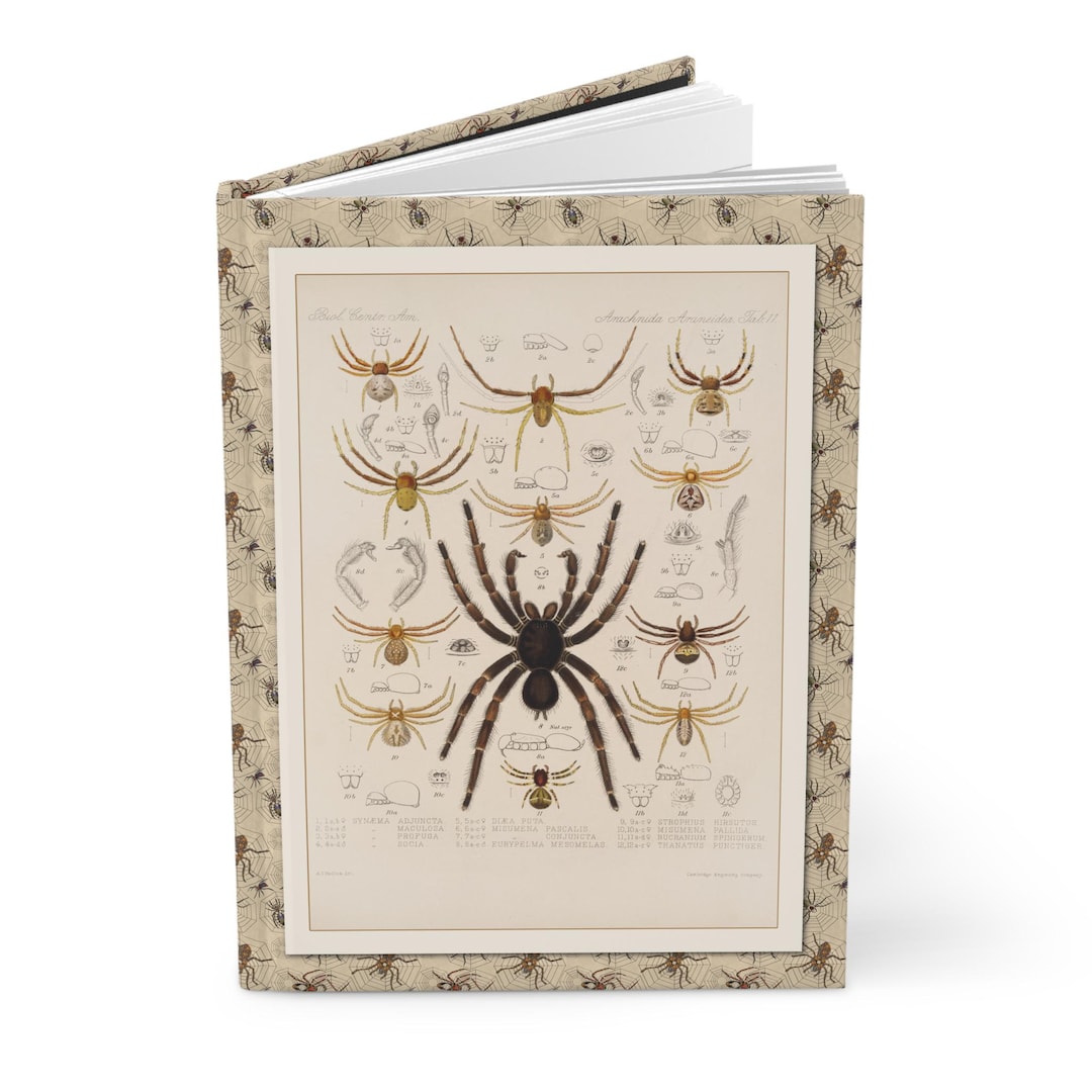 Vintage Spiders Charts Hardcover Journal, Matte Notebook for Nature ...