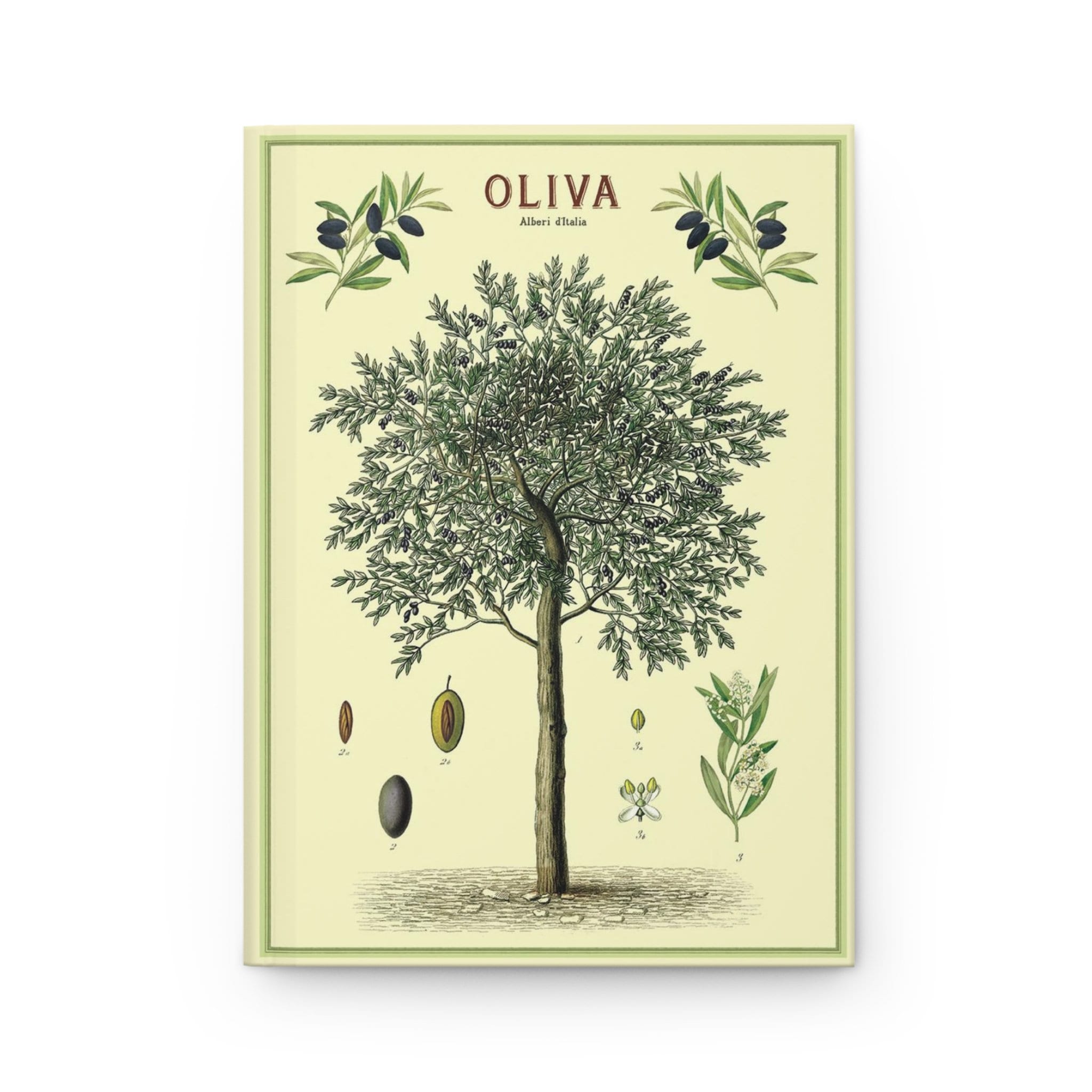 The Olive Tree A5 Journal, Elegant Matte Hardcover, Lined Pages for ...