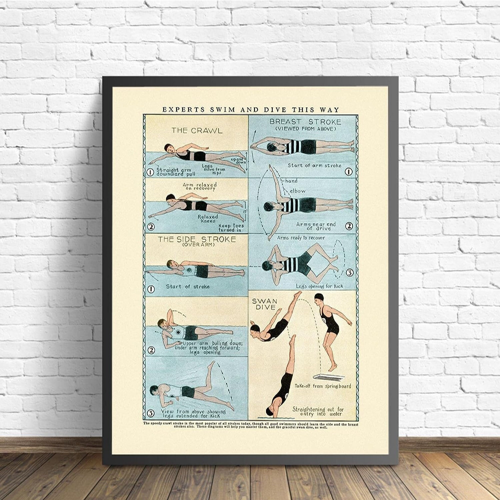 Experts Swim and Dive Sports Poster Digital Image Perfect - Etsy