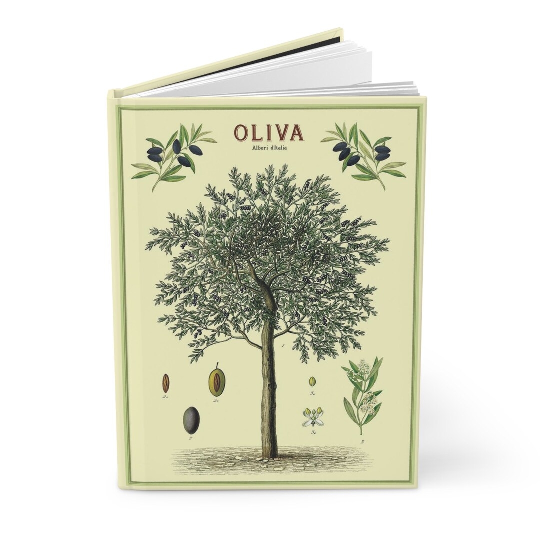 The Olive Tree A5 Journal, Elegant Matte Hardcover, Lined Pages for ...