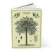 The Olive Tree A5 Journal, Elegant Matte Hardcover, Lined Pages for ...
