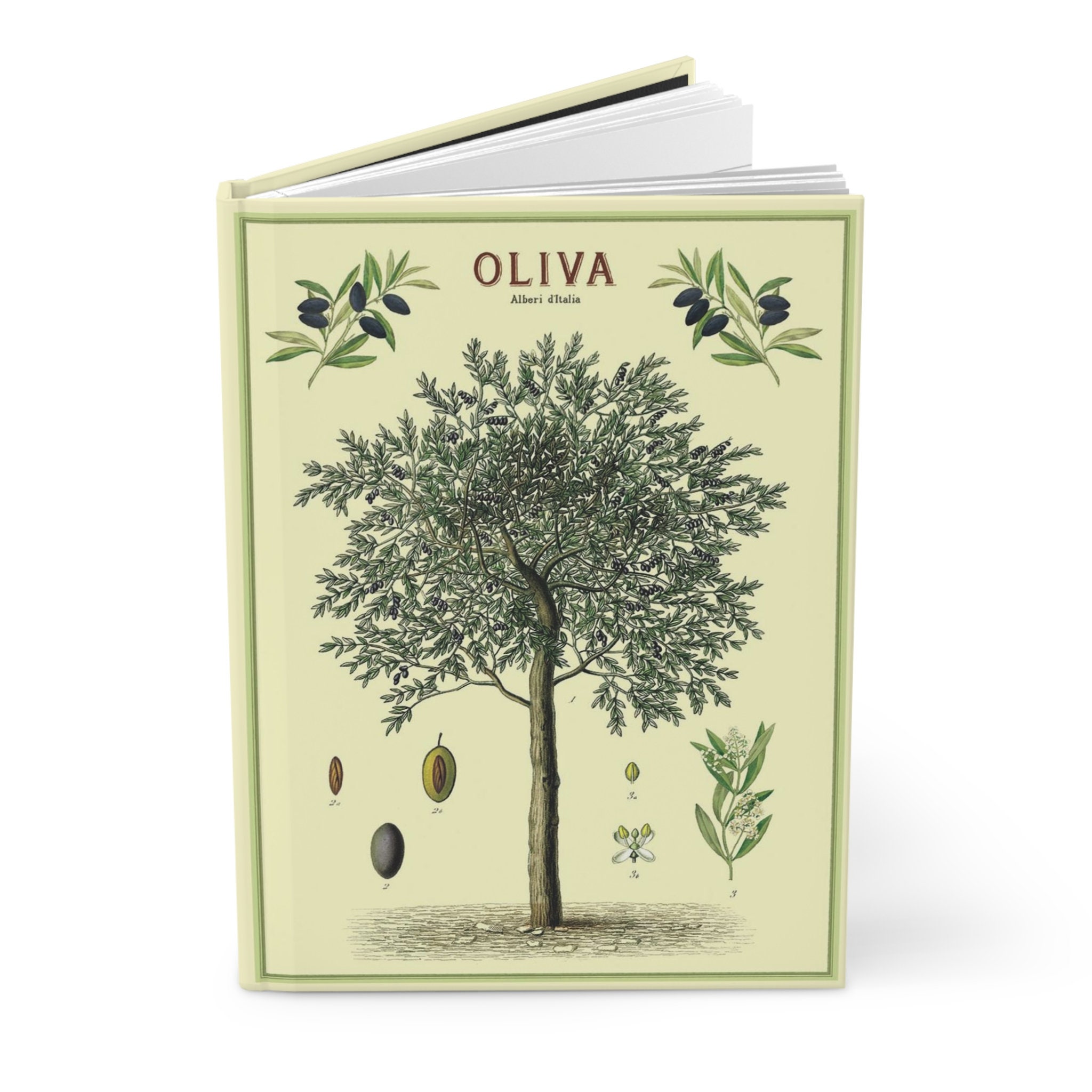 The Olive Tree A5 Journal, Elegant Matte Hardcover, Lined Pages for ...
