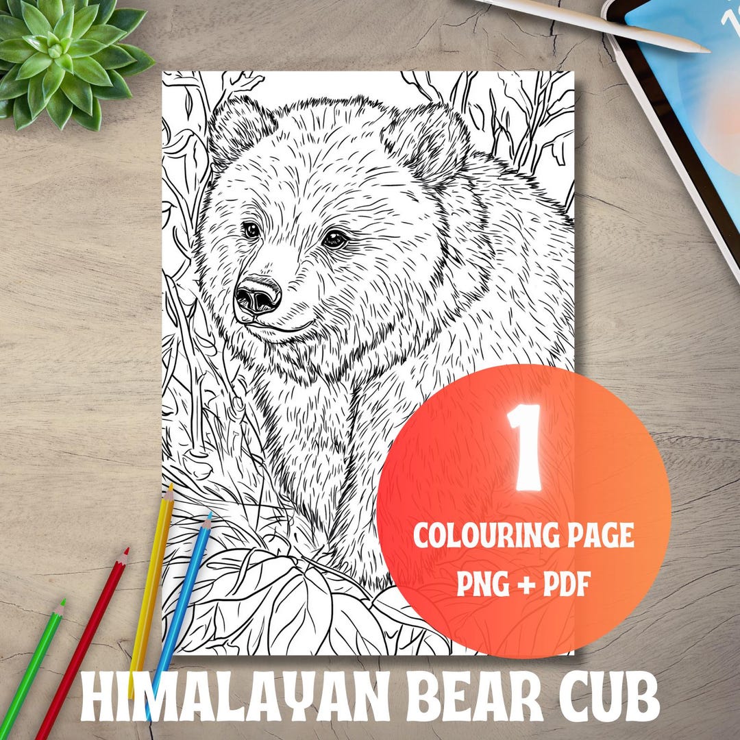 Himalayan Bear Cub: Cute Himalayan Bear Isabella Baby Coloring Page for ...