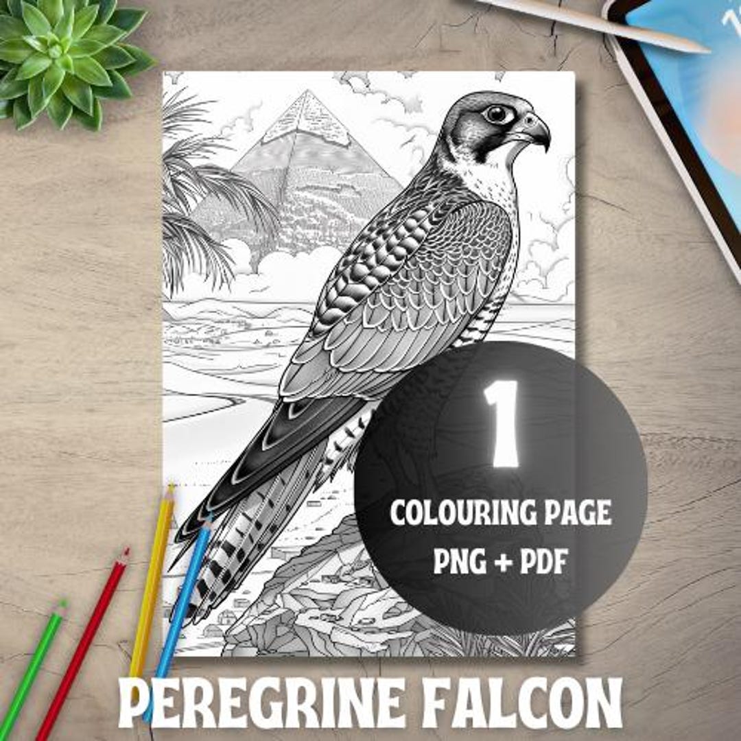 Peregrine Falcon: Peregrine Falcon Coloring Page for Relaxing for ...
