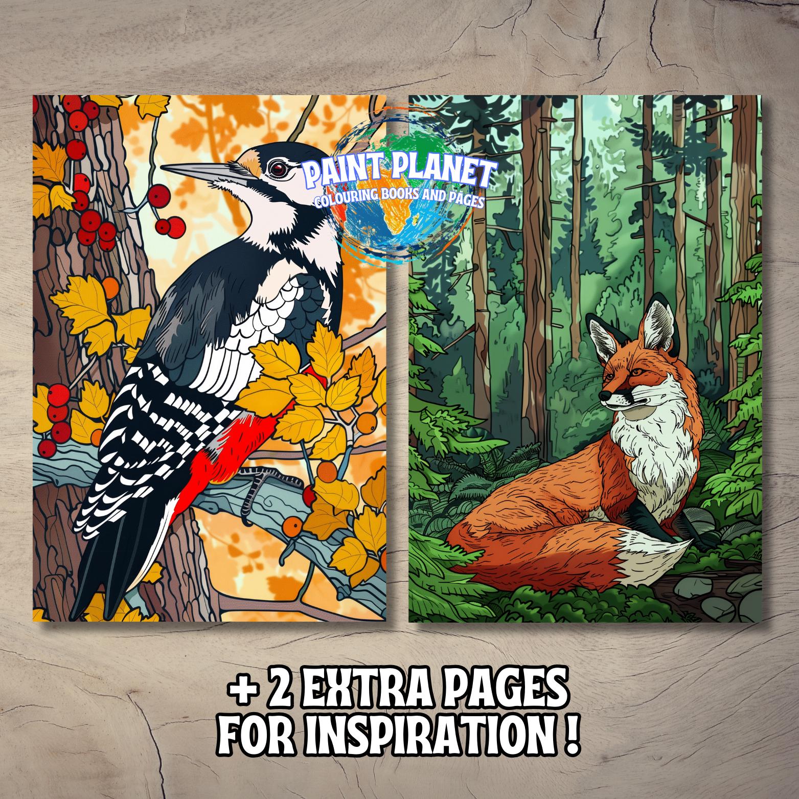 Wild Worlds – Forest & Wildlife Coloring Book for Adults | Nature ...