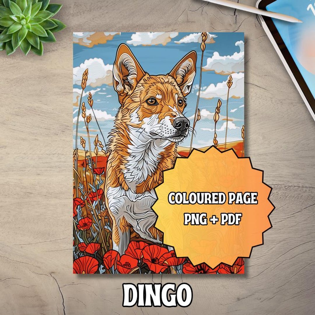 Dingo: Cute Dingo Picture From Paint Planet - Etsy