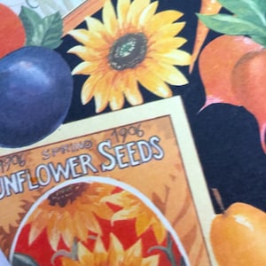 Vintage Cookie Tin Sunflowers, Seed Packets, Corn and Radishes ...