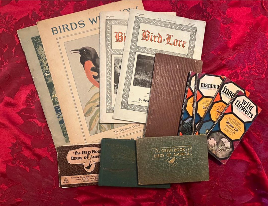 Vintage Bird Identification Books Lot, 1926-1950, Bird-lore, Birds We ...