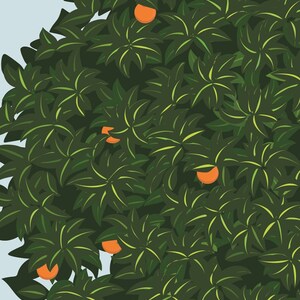 ORANGE TREE Printable Poster Orange Tree Poster Wall Art Nature Poster ...