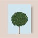 ORANGE TREE Printable Poster Orange Tree Poster Wall Art Nature Poster ...