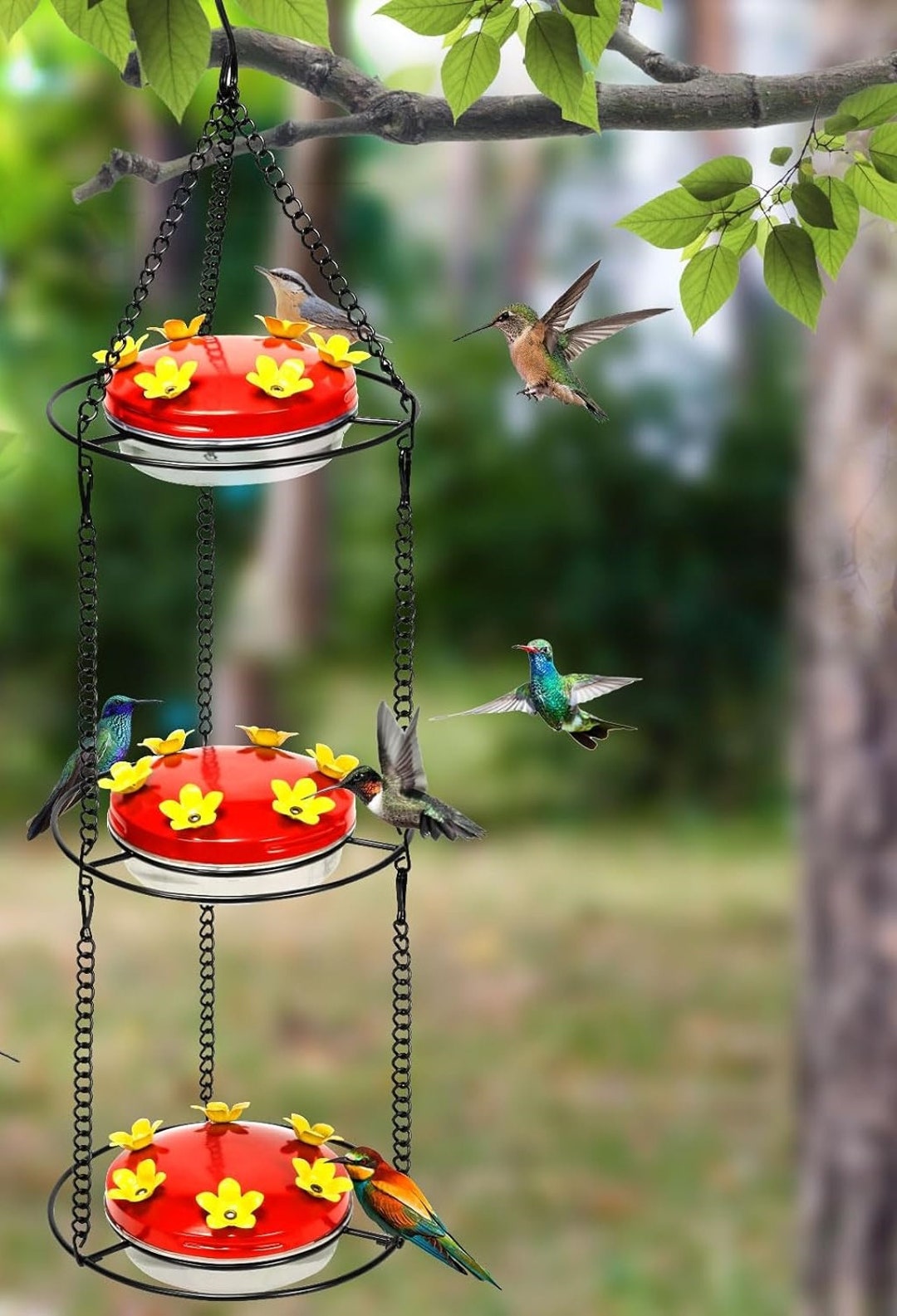Detachable and Stackable Design Hummingbird Feeder W/ Metal Frame 3 ...