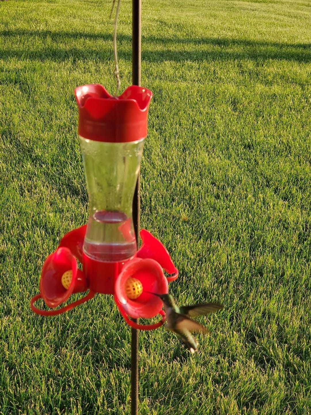 Pack of 2 Red Outdoors Patio Garden Glass Hummingbird Feeders With ...
