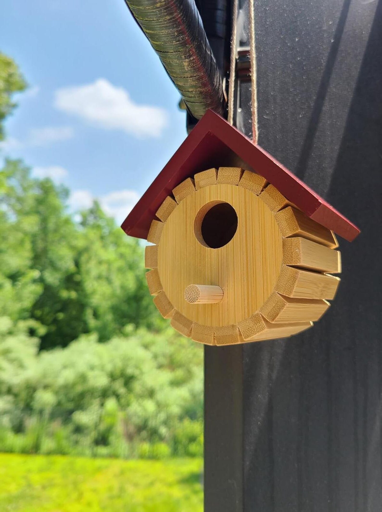 2 Pack Hummingbird House Kit Rotating Back Cover Wooden Spray Painted ...