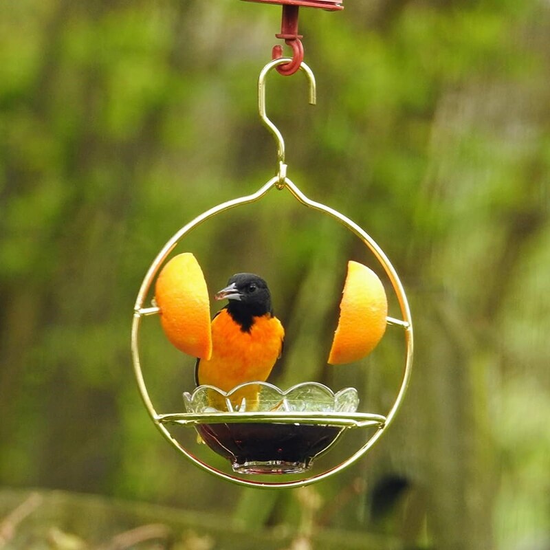 Oriole Feeder - Etsy