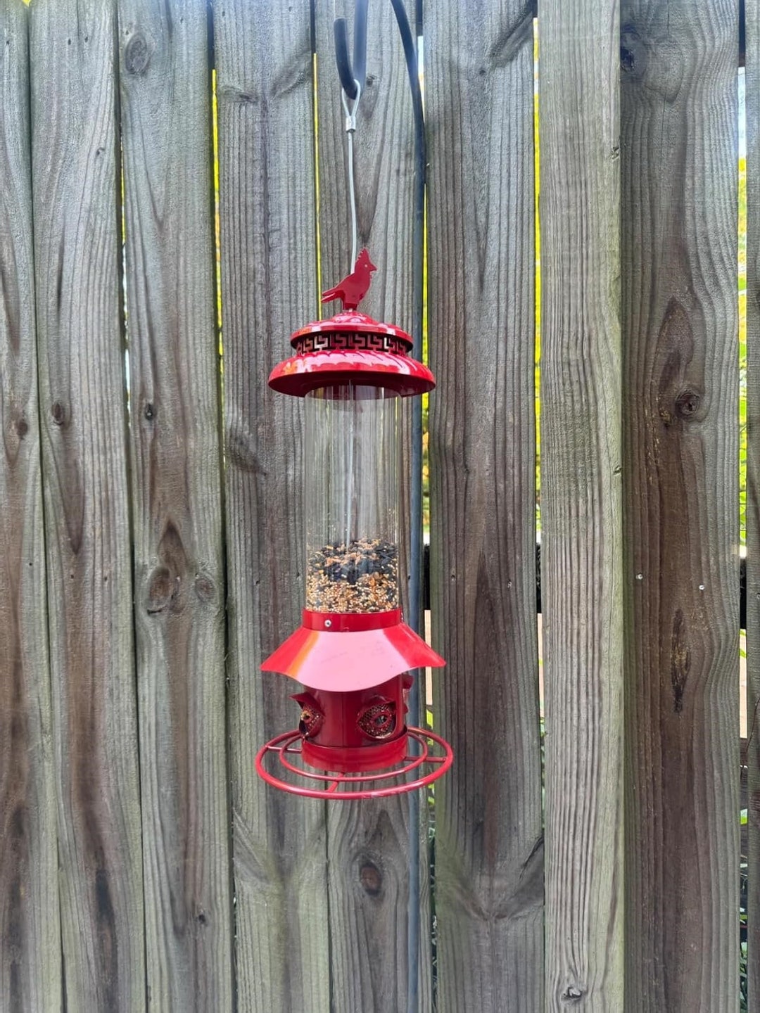 2.5-pound Seed Capacity Outdoors Hanging Red Wild Bird Thistle & Nyjer ...