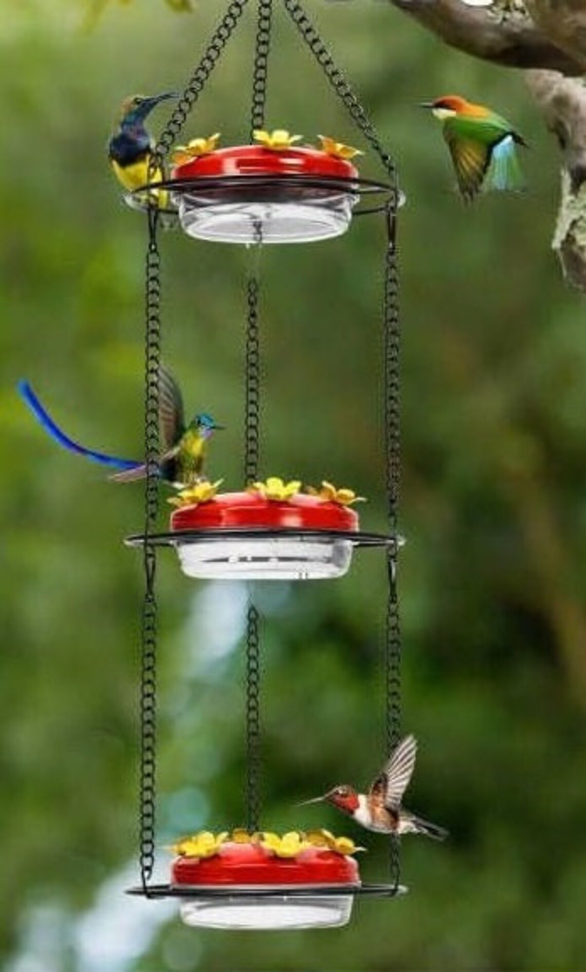 Detachable and Stackable Design Hummingbird Feeder W/ Metal Frame 3 ...