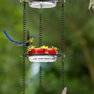 Detachable and Stackable Design Hummingbird Feeder W/ Metal Frame 3 ...