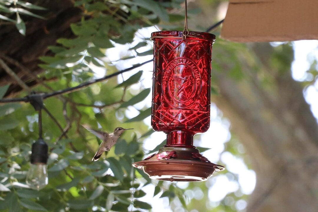 Eye-catching Red Bottle Hummingbird Feeder Large Nectar Capacity Five ...