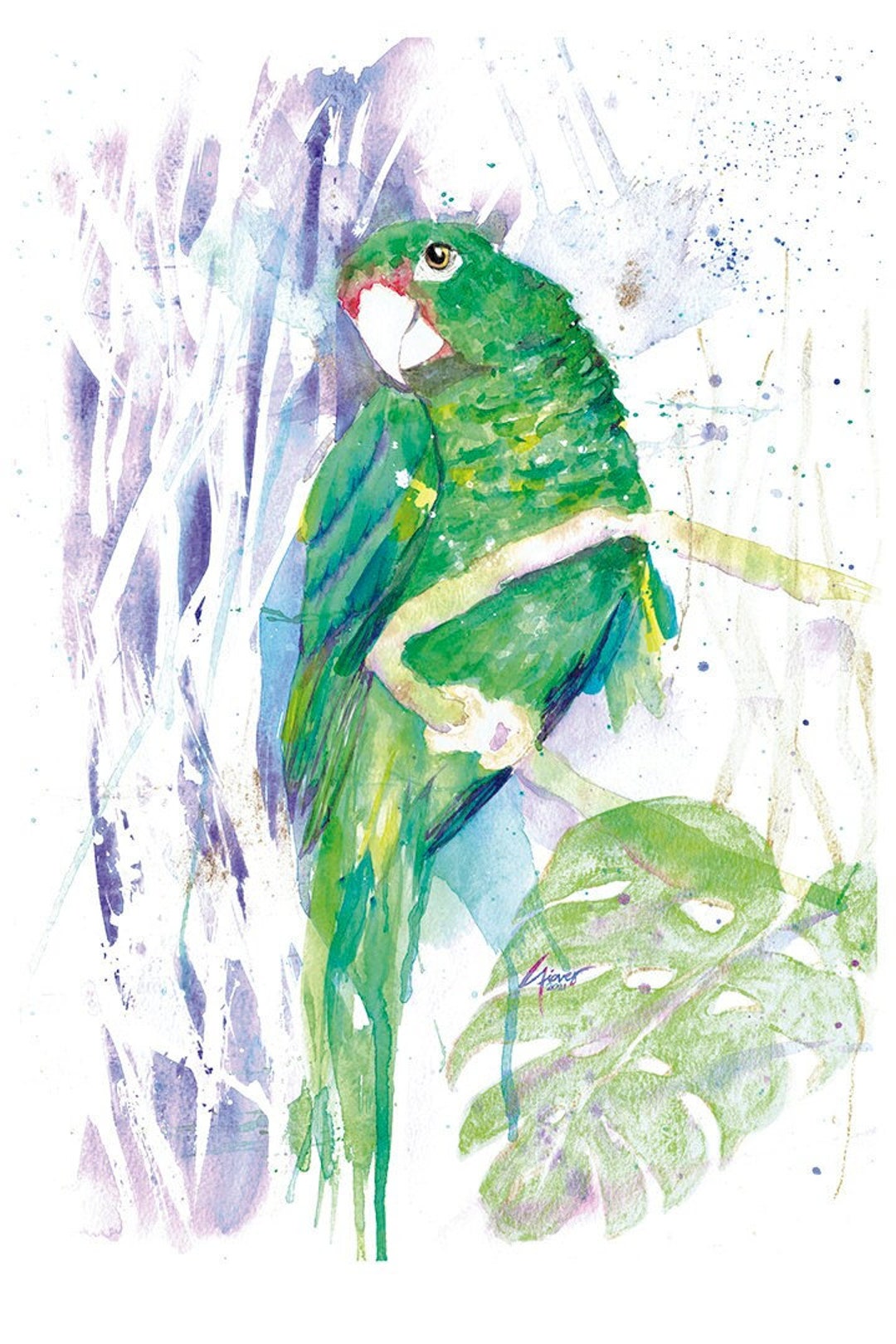 Amazona Vittata, Puerto Rican Parrot - FINE ART PRINT From Original ...
