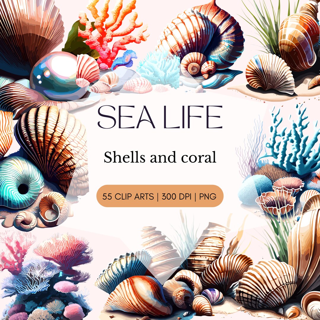 Coral Reef Seashell Clipart Beach Clipart Under the Sea Life Clipart ...