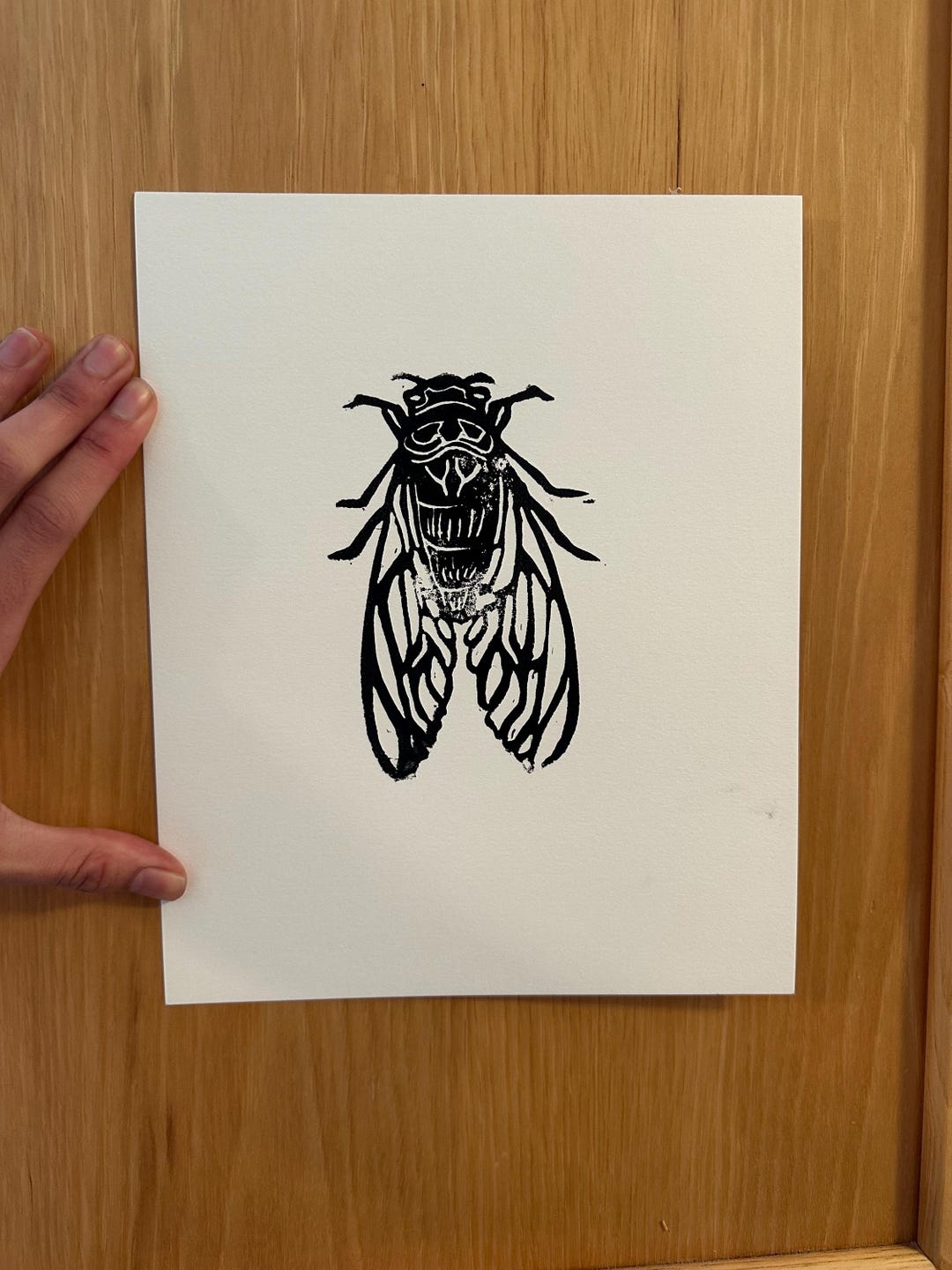 Cicada Print - Etsy