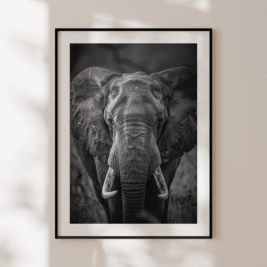 Elephant Poster, Black and White Elephant Print, Jungle Animals Wall ...