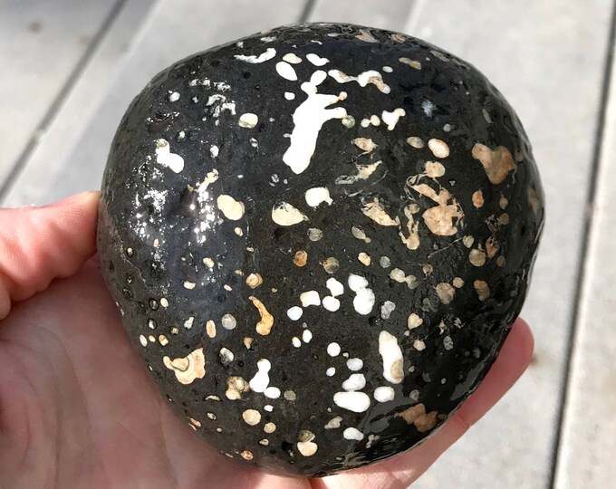 Black River Rock With White Speckles - Spotted Stone - Alaska River ...