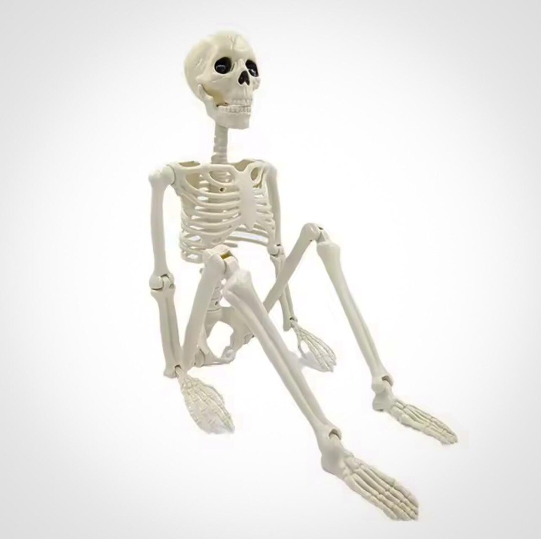 Halloween Skeleton Decoration – Posable Human Skeleton Prop | Haunted ...