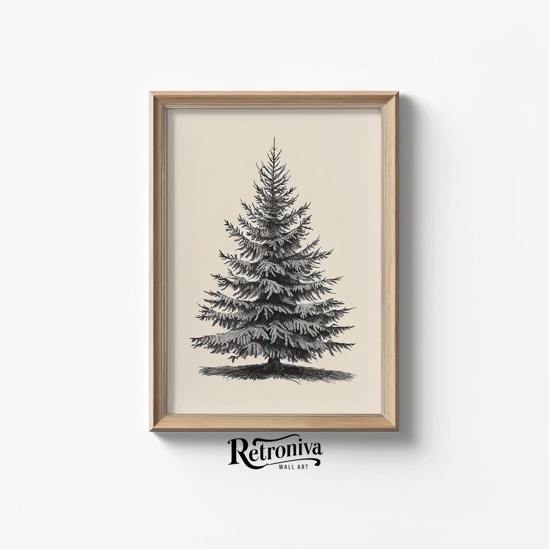Vintage Christmas Pine Tree Sketch Drawing | Rustic Fir Botanical ...