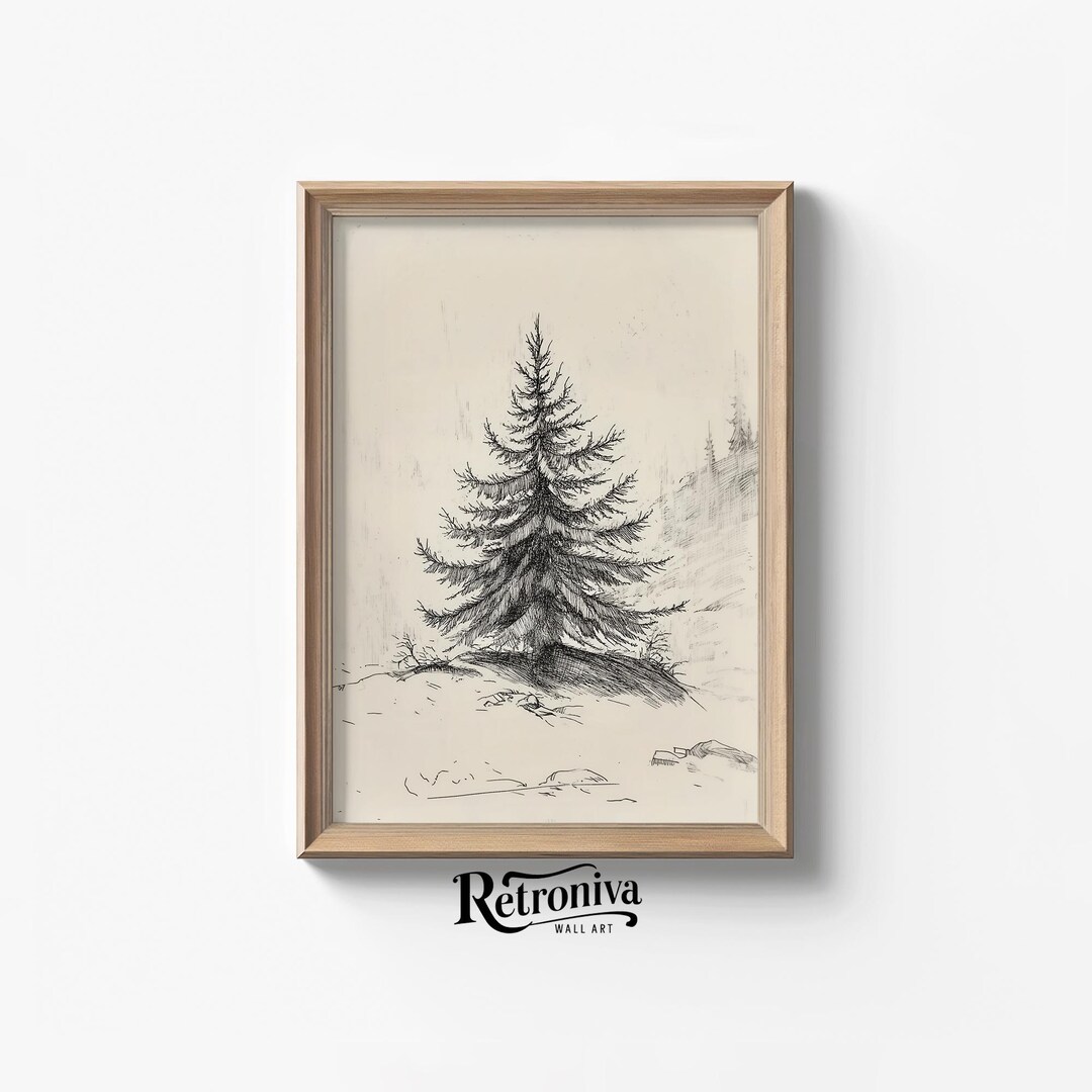 Vintage Evergreen Tree Sketch Drawing | Antique Pine Tree Sketch Art ...